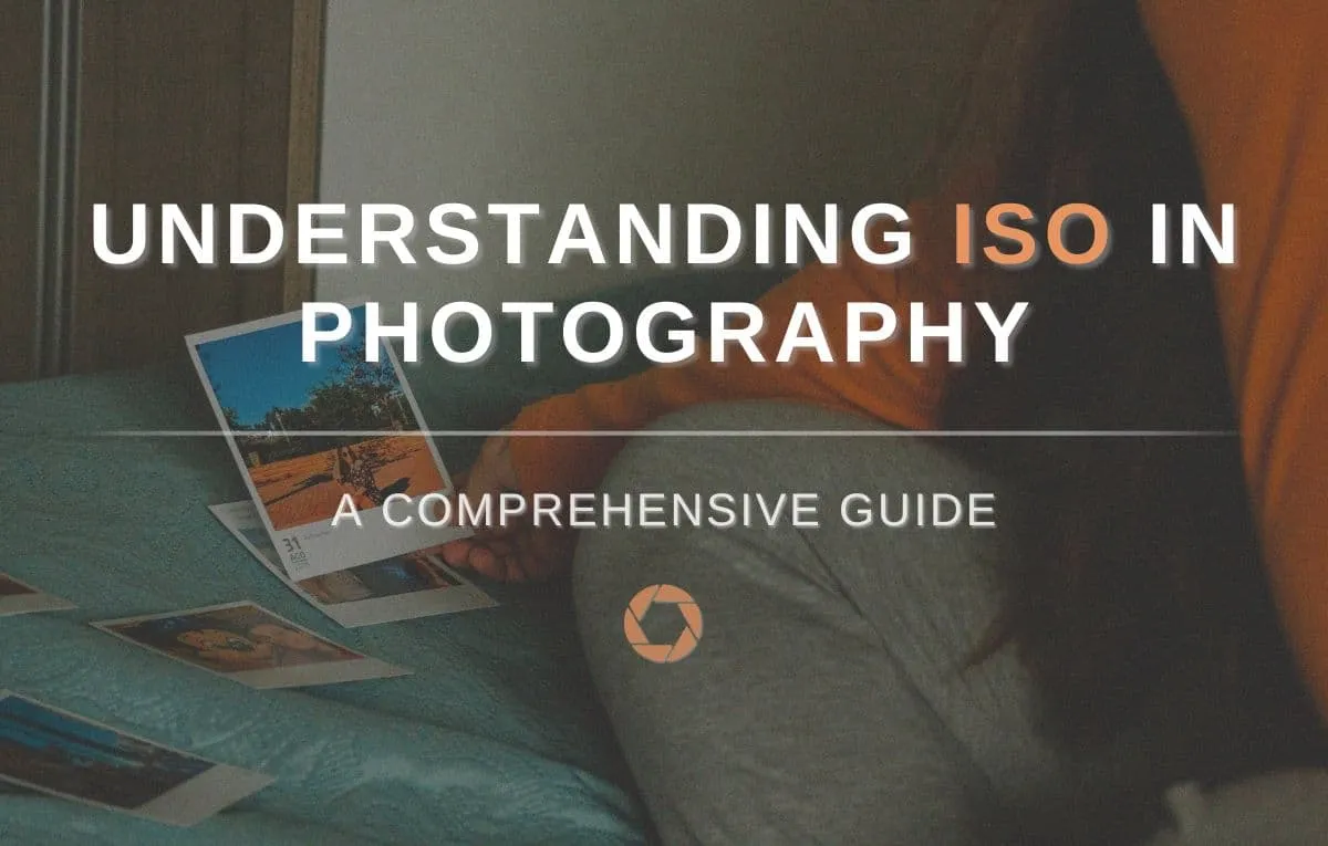ISO in Photography: A Complete Beginner’s Guide ISO in Photography: A Complete Beginner’s Guide